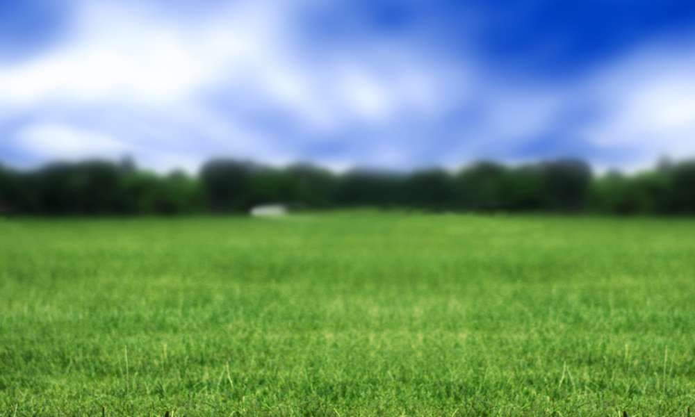Home | North Stormont